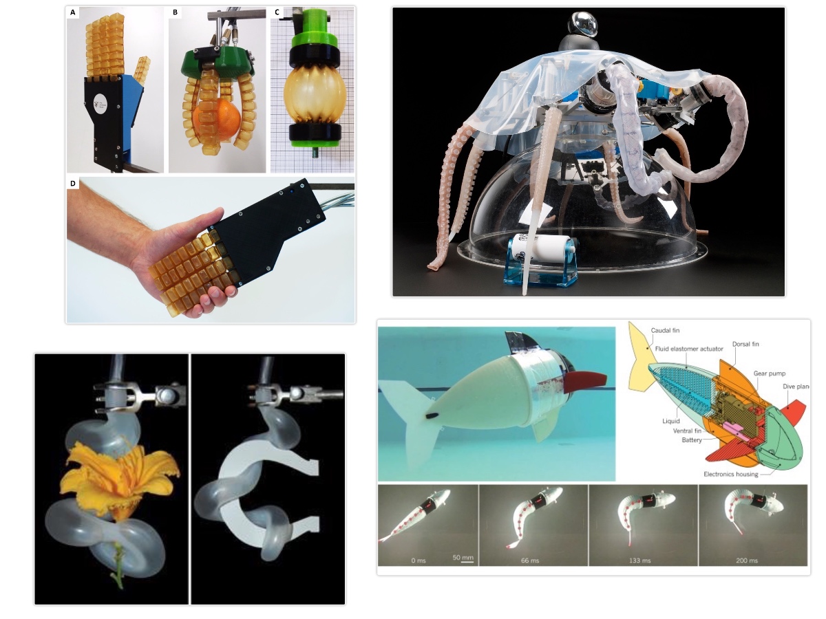 12. Soft robotics - Surzhana Radnaeva